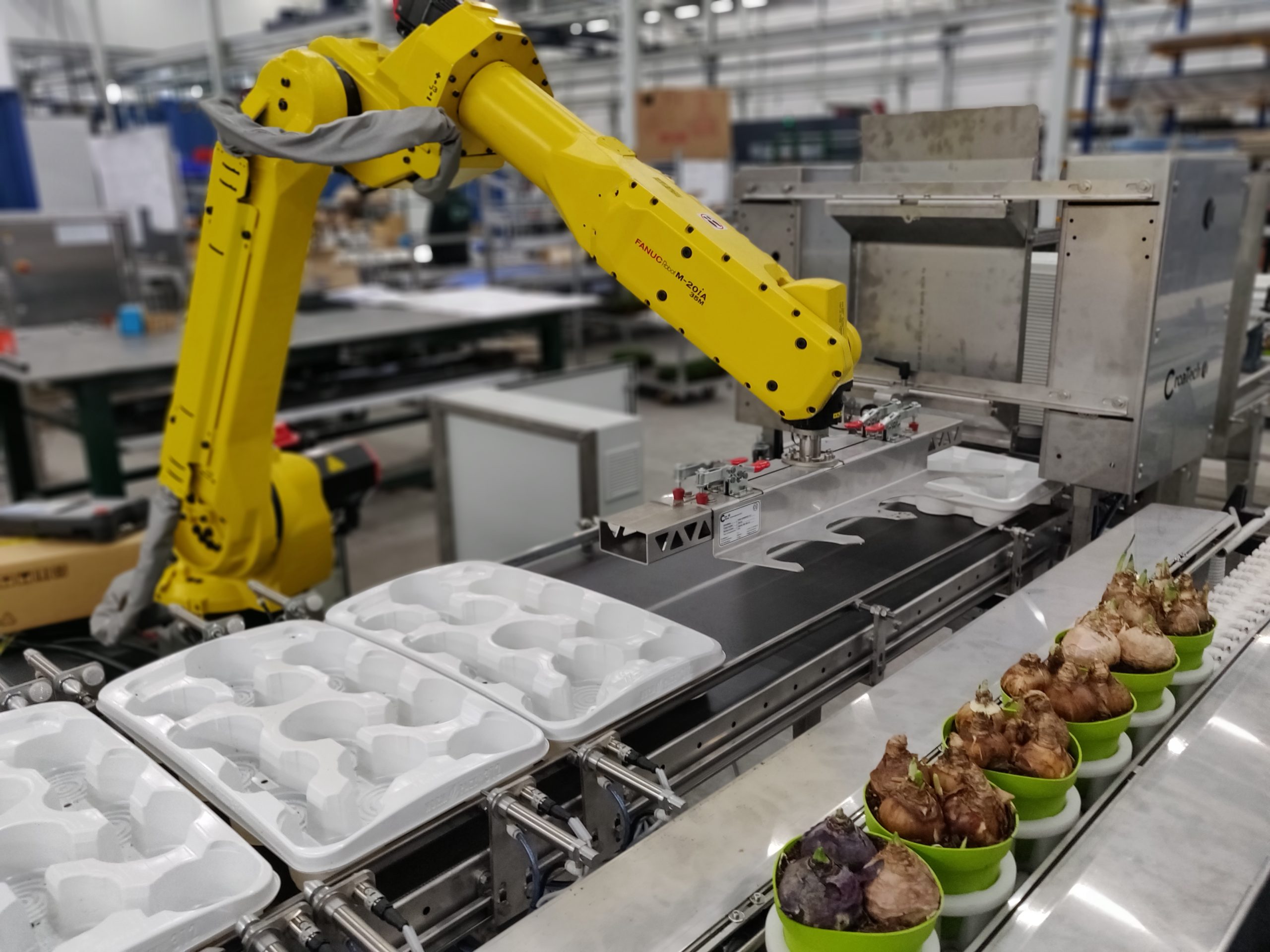 TRIPLE TRAY FILLING LINE - Crea-Tech