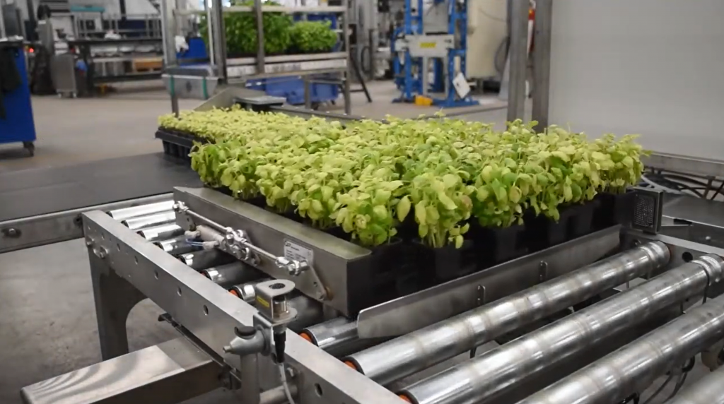 This tray spacing line ensures that the trays are placed with more space.